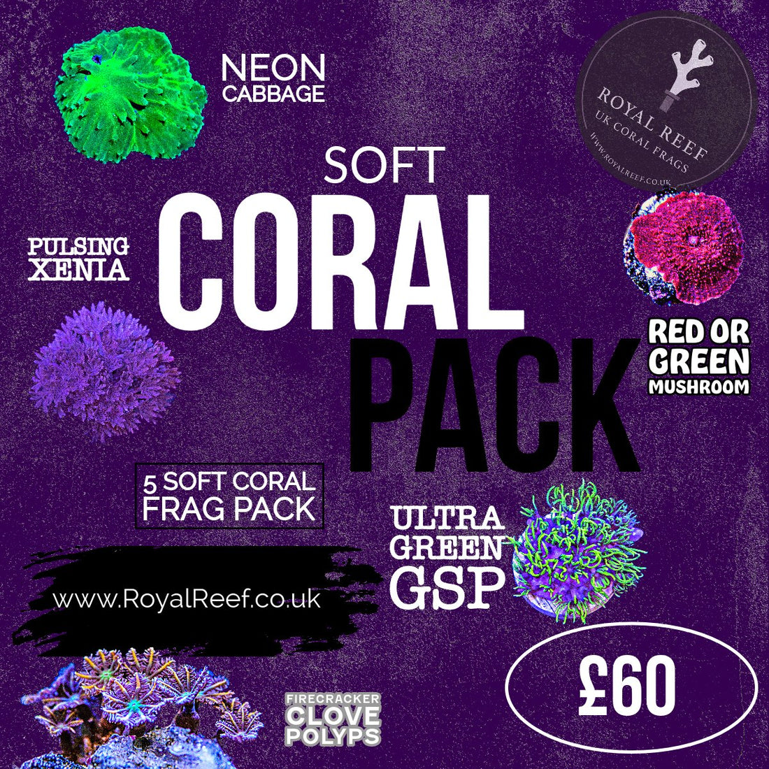 Soft Coral 5 PACK – Royal Reef